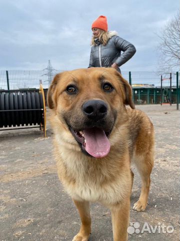 Я не хочу умереть в клетке. Забери меня