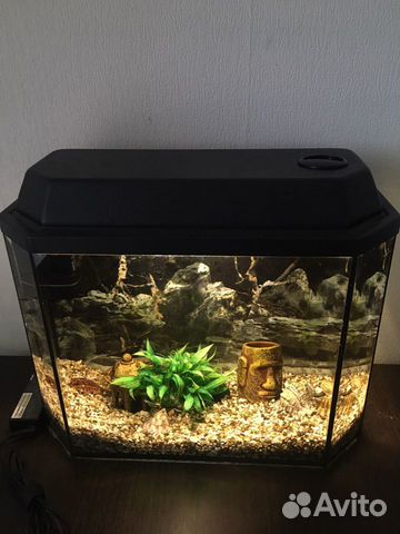 Аквариум в сборе