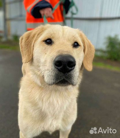 Каждый день борьба за жизнь