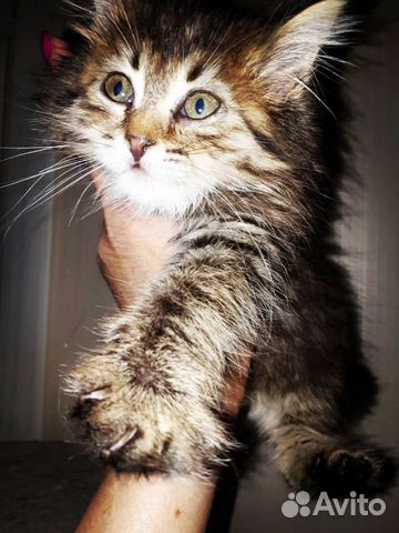 Мальчик и девочка ждут родителей