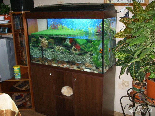 Акватеррариум для черепах