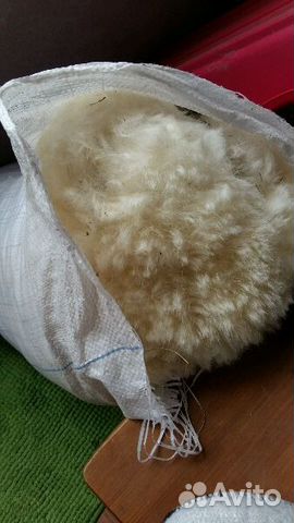 Продам шерсть овечью