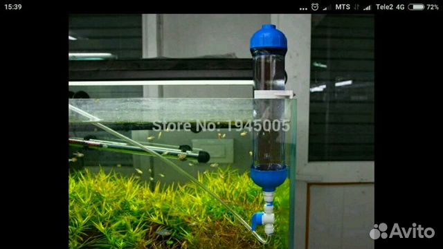 Инкубатор артемии, корм в аквариум