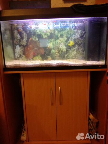 Аквариум juwel на 100 литров с тумбой продам