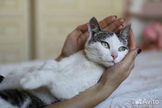 Очаровательная красавица Лили в дар