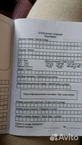 Щенок той-терьера с документами