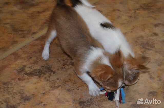 Мальчики-красавчики