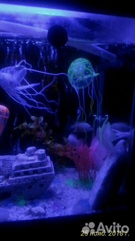 Аквариум