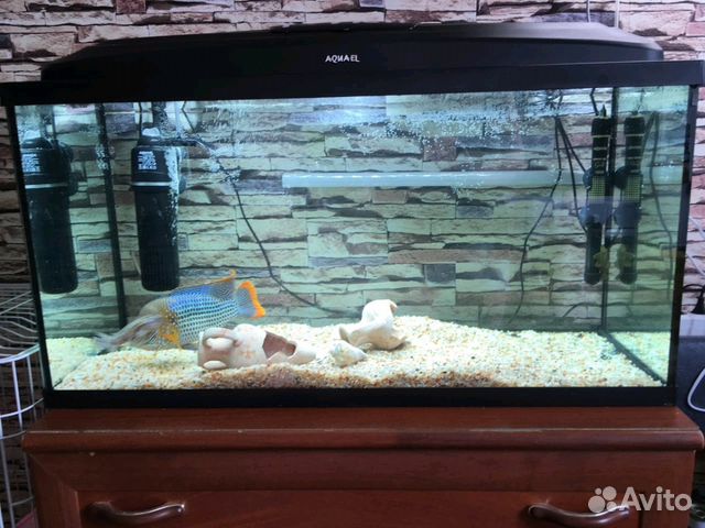Аквариум