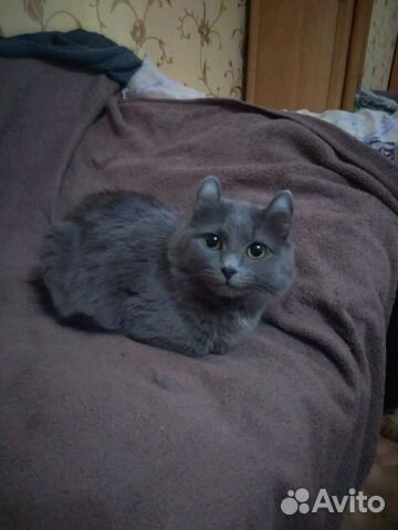 Герда 1,5 годика