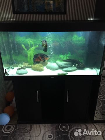 Аквариум Juwel Rio 350л