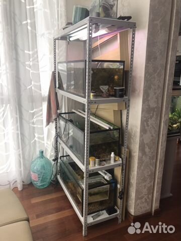 Аквариумы стойка разводня стиллаж нерестовики