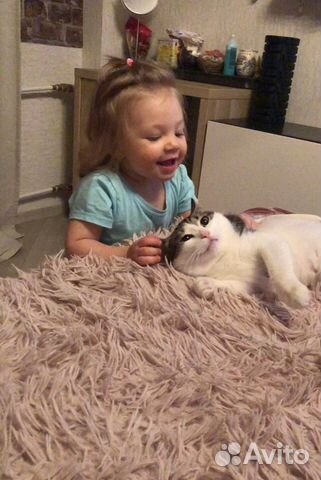 Батончик в добрые руки)