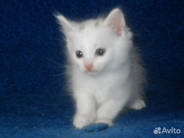 Сладкий малыш