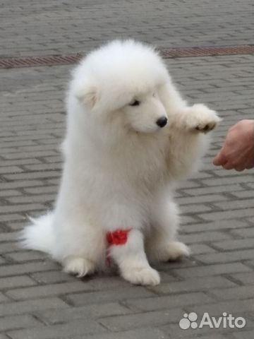 Девочка Ульяна Улыбка Белокурой Нимфы