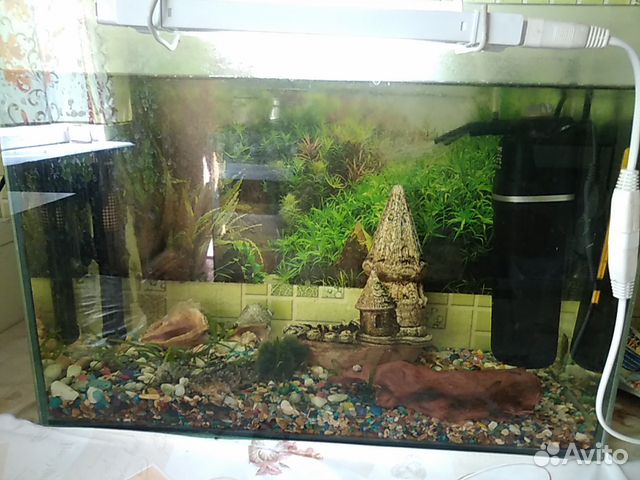 Аквариум 40 литров, с рыбкам, рыбная ферма