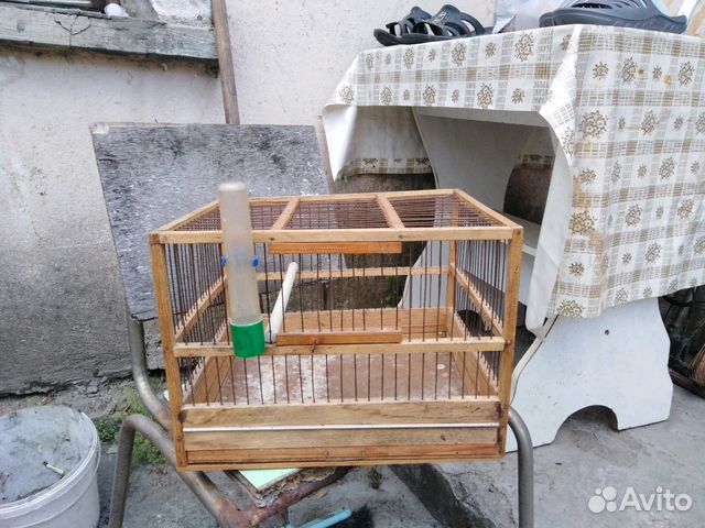 Канарейки, клетки