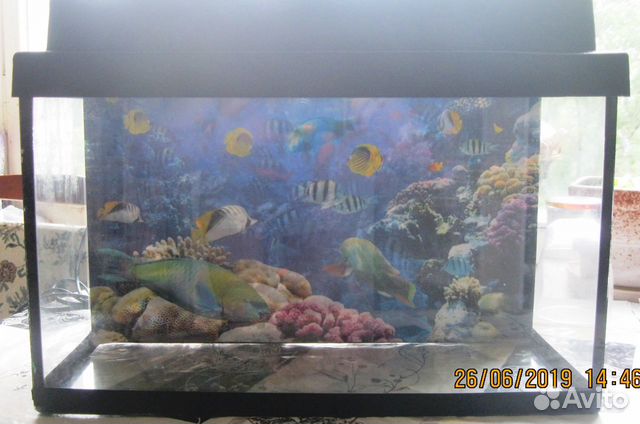Аквариум на 15 литров