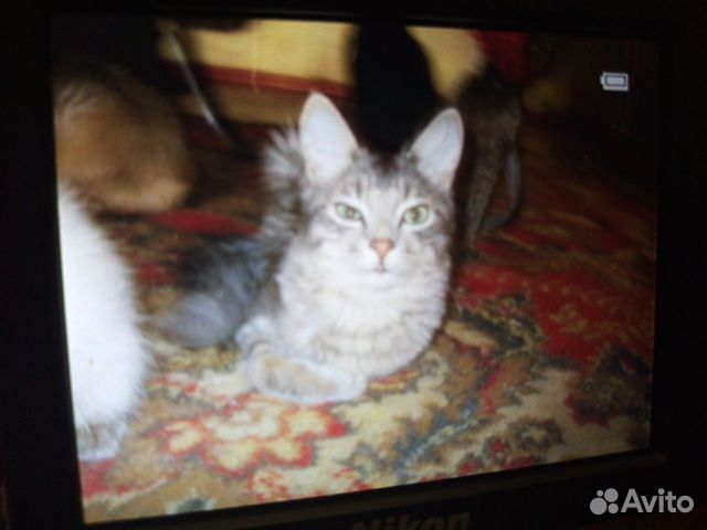 Отдам в хорошие руки