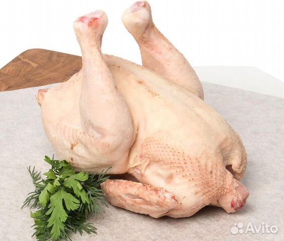 Продаём бролеры за 1 кг