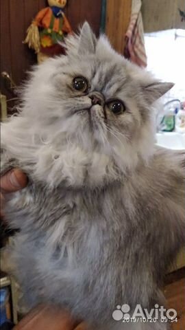 Невероятная