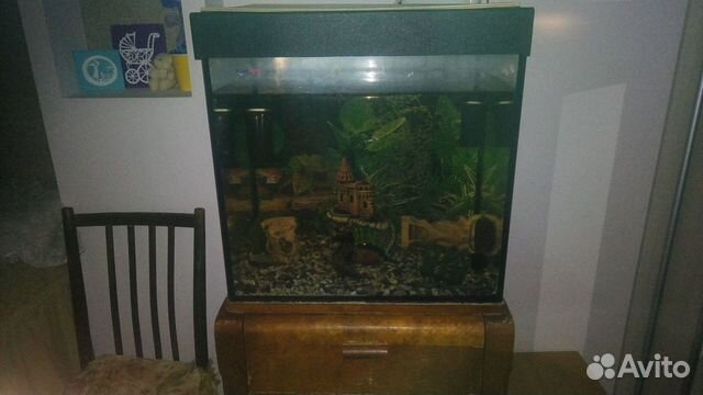 Аквариум, 100 литров