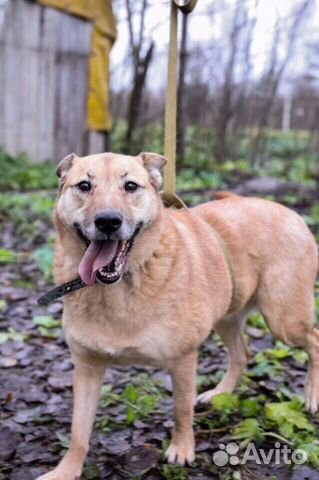 Доброжелательная девочка