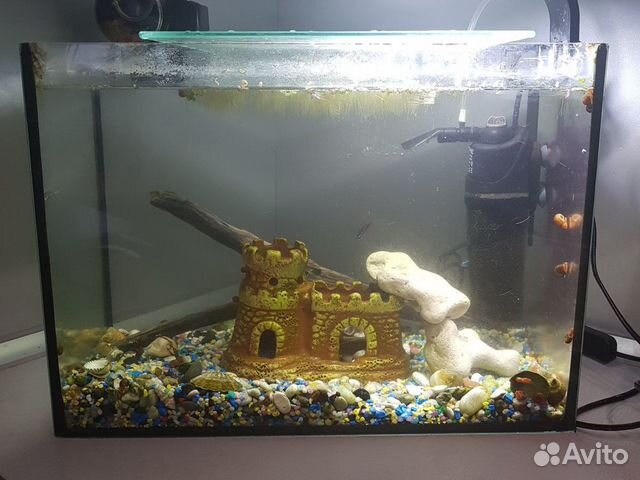 Аквариум
