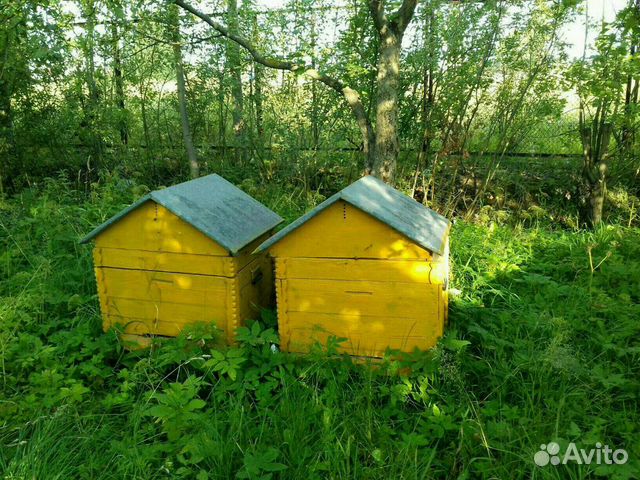 Ульи (дом для пчёл )