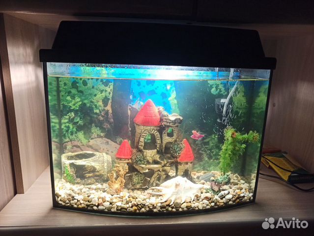 Аквариум