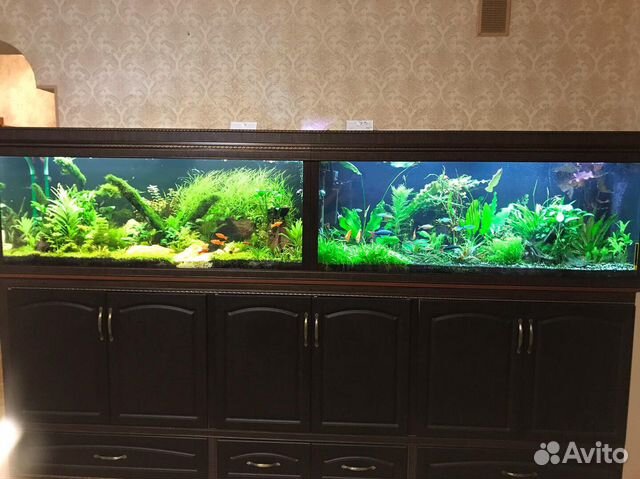 Аквакомплекс