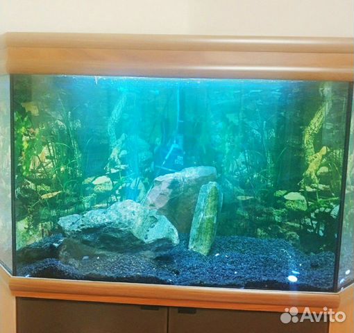 Аквариум 150л
