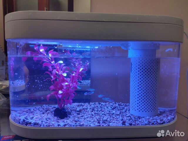 Умный аквариум Xiaomi hfjh Amphibian Eco-aquarium