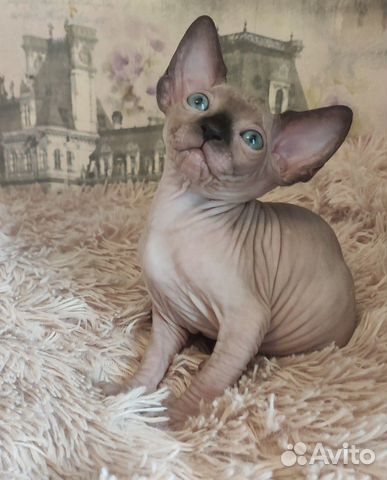 Крошка-малышка