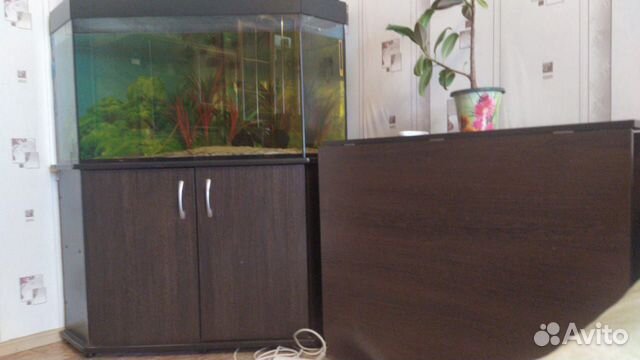 Аквариум