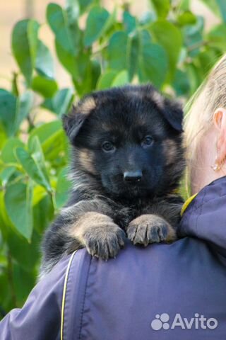 Девка огонь