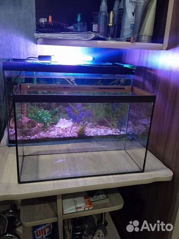 Аквариум