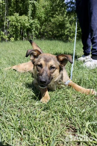 Малышка Юта детство проводит в клетке