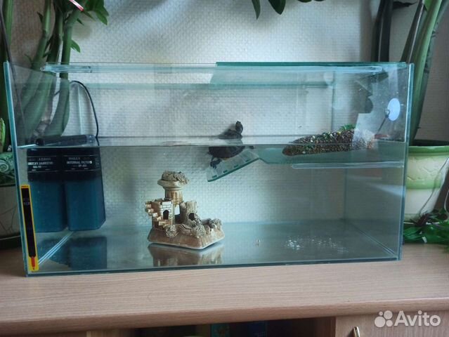 Аквариум - террариум на 50 л с черепахой