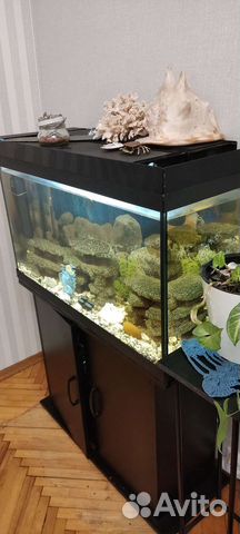 Аквариум с тумбой бу