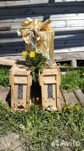 Пчелы для апитерапии