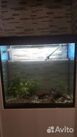 Аквариум 270 литров