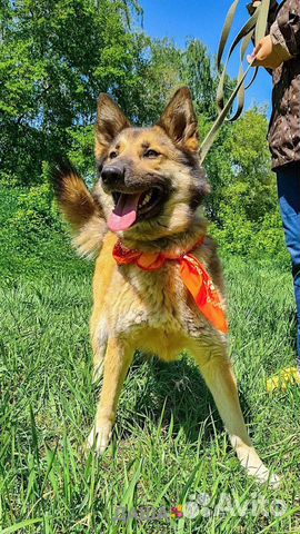 Нежная как цветок Линда