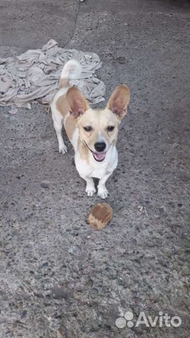 Мартин ищет дом