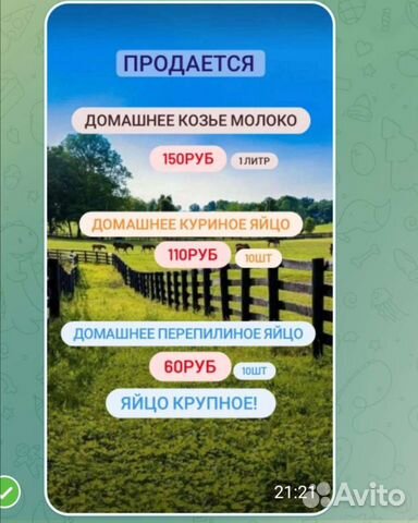 Козы,куры,перепелка