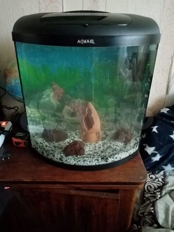 Аквариум